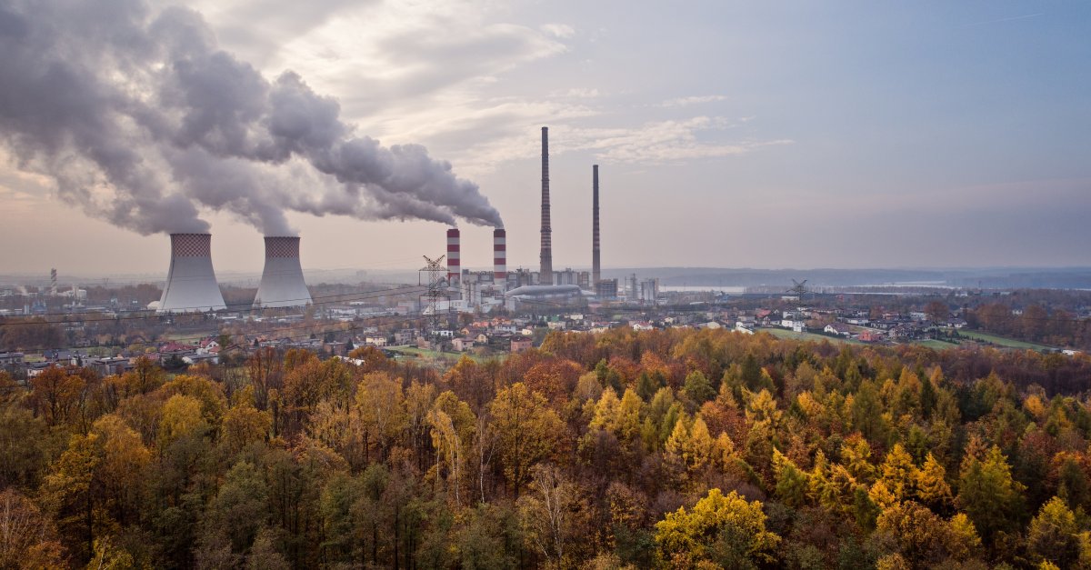 Separating land carbon uptake from net-zero emissions