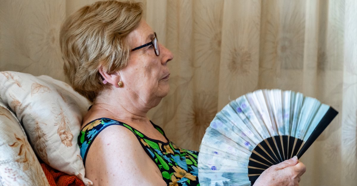 New tool provides knowledge on heat stress vulnerability in cities for ...
