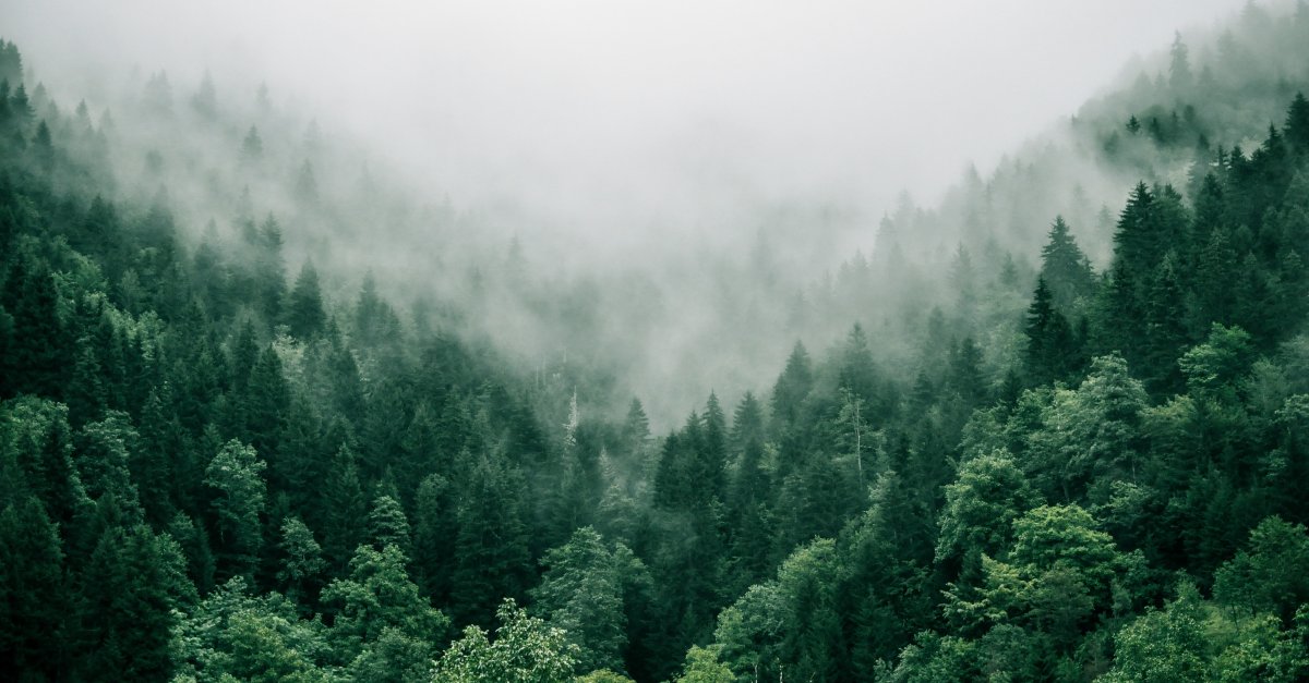 EYE-CLIMA - Verifying emissions of climate forcers