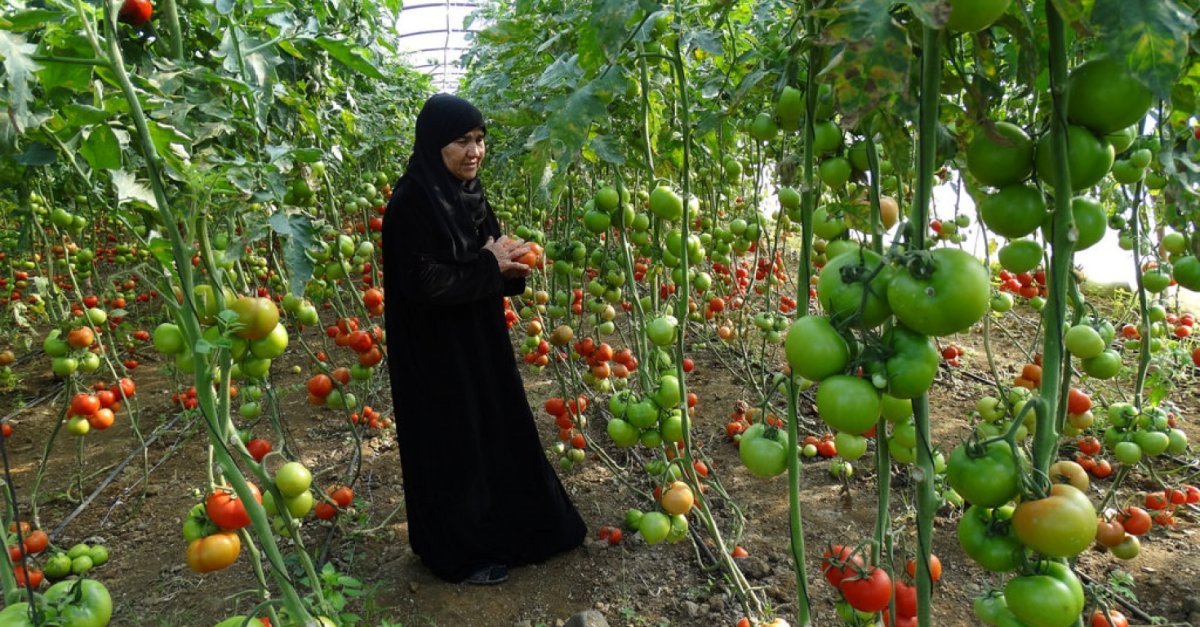 Sårbar matforsyning